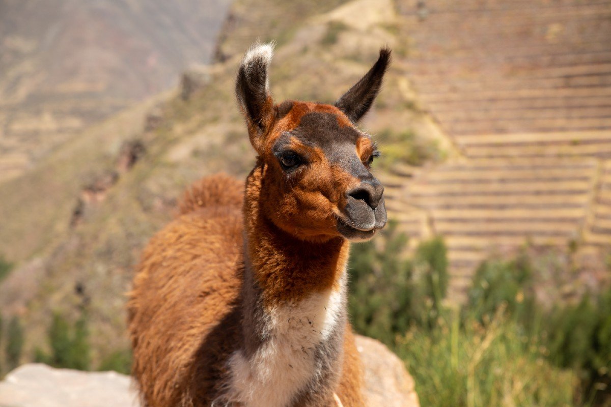 Peru with 2-days on the Inca Trail – View the itinerary here