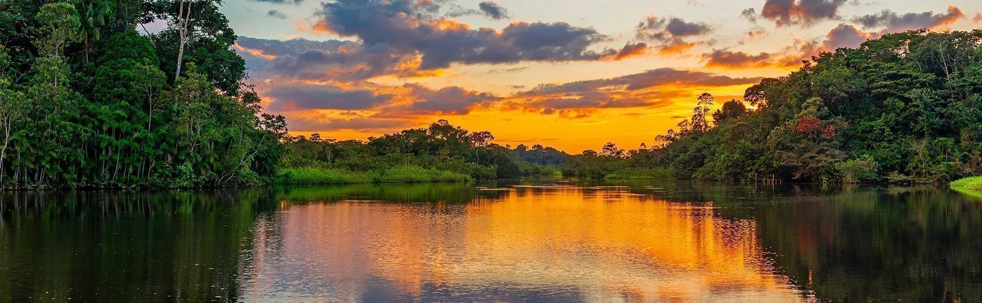 Ecuador with the Amazon & Galapagos cruise – 17 days