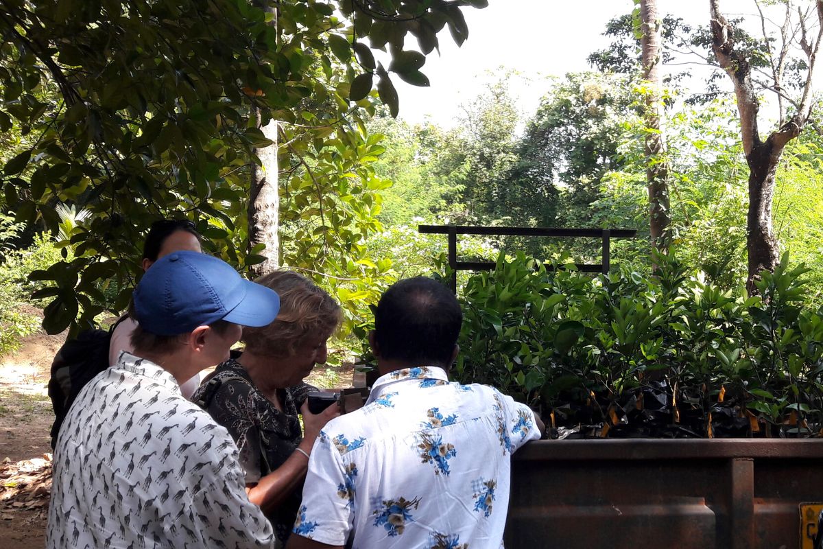 Sri Lanka Highlights Tour - Get quote for this amazing 13-day tour