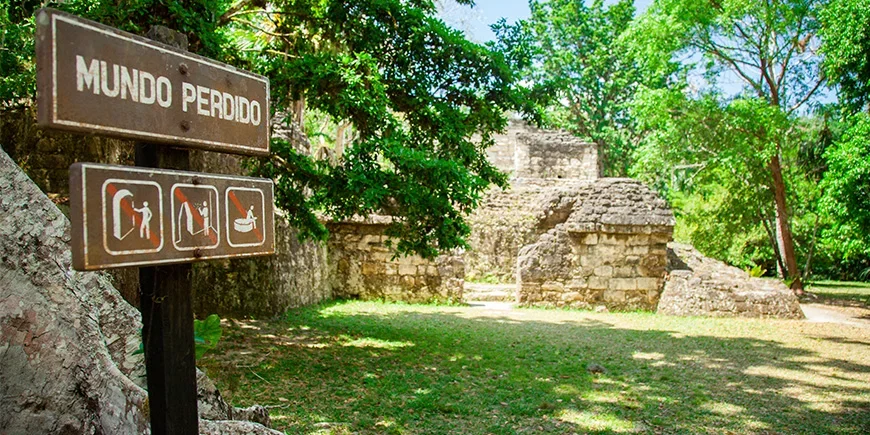 Tikal National Park: a guide to Guatemala’s archaeological wonder